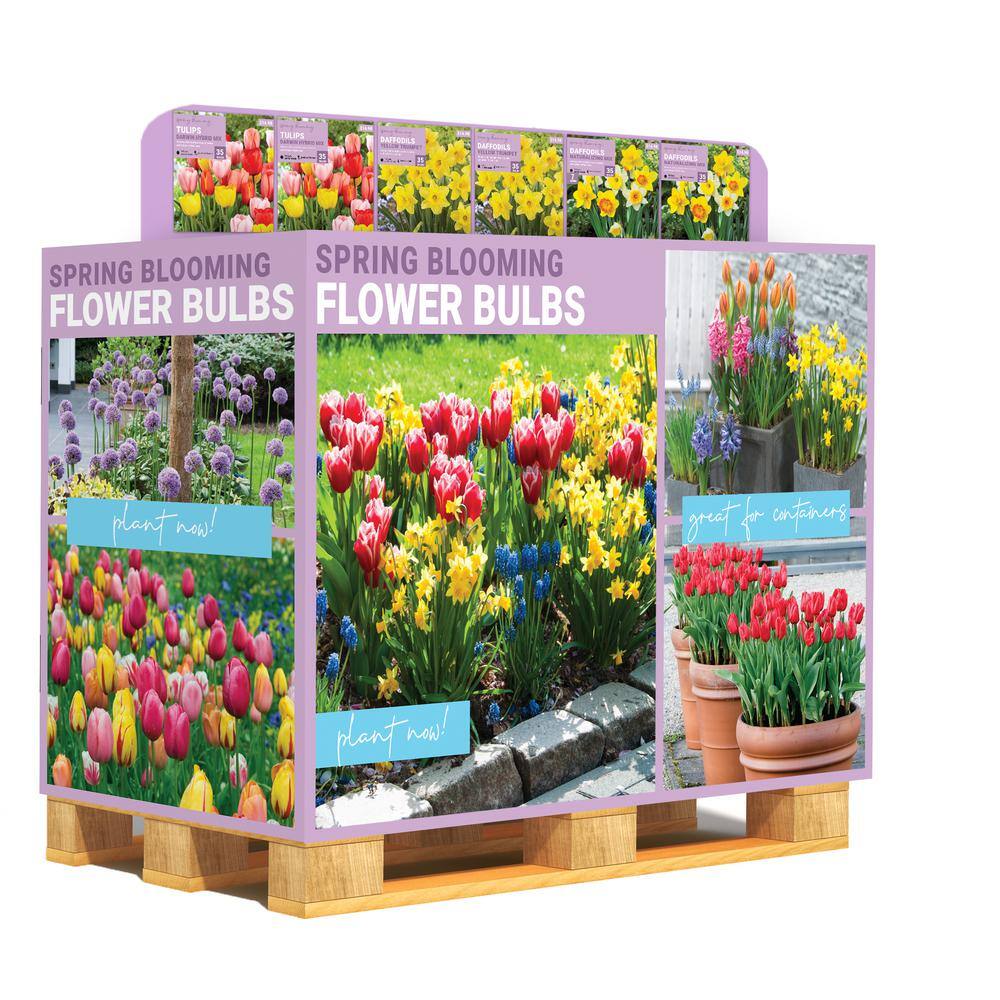 Garden State Bulb CS Mid-Atl Timbar Display #1 (158-Count) HDF20-20 ...