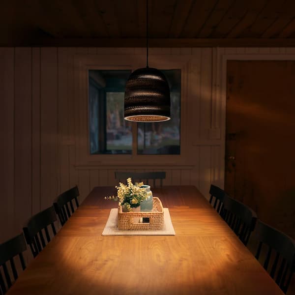 Edvivi 100-Watt 1-Light Matte Black Modern Nordic Style Edvivi 100-Watt 1-Light Matte Black Modern Nordic Style