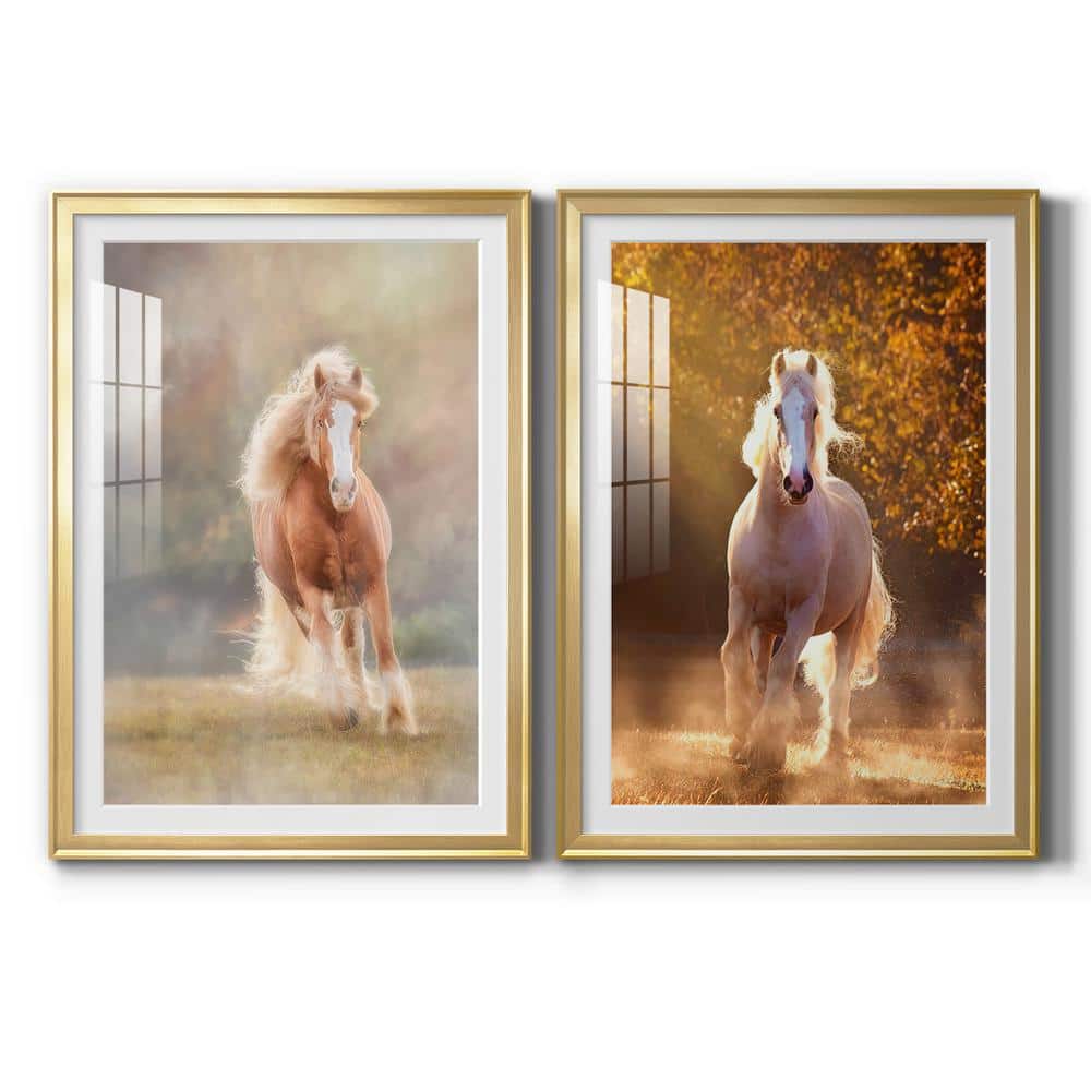 Wexford Home Invigorating Soak By Wexford Homes 2-Pieces Framed ...