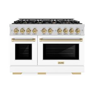Dual fuel oven store