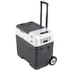ACOPower LiONCooler 52 Qt. Battery Powered Portable Chest Fridge ...