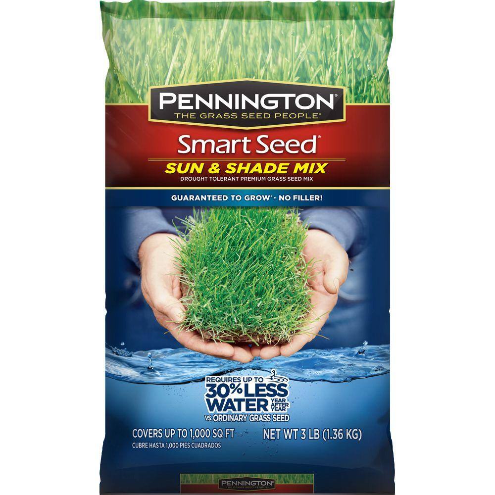 Reviews for Pennington Smart Seed 3 lb. Sun and Shade North Grass Seed ...