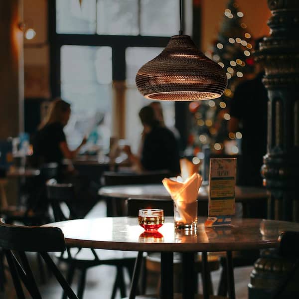 Edvivi 100-Watt 1-Light Matte Black Modern Nordic Style Edvivi 100-Watt 1-Light Matte Black Modern Nordic Style