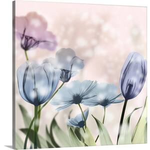 GreatBigCanvas "Fern Leaf X-Ray Photograph" by Albert Koetsier Canvas ...