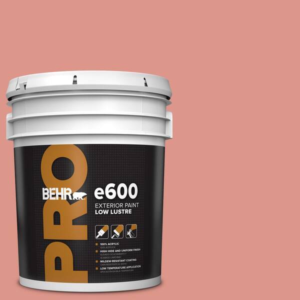 BEHR PRO 5 gal. #180D-4 Coral Serenade Low Luster Exterior Paint ...