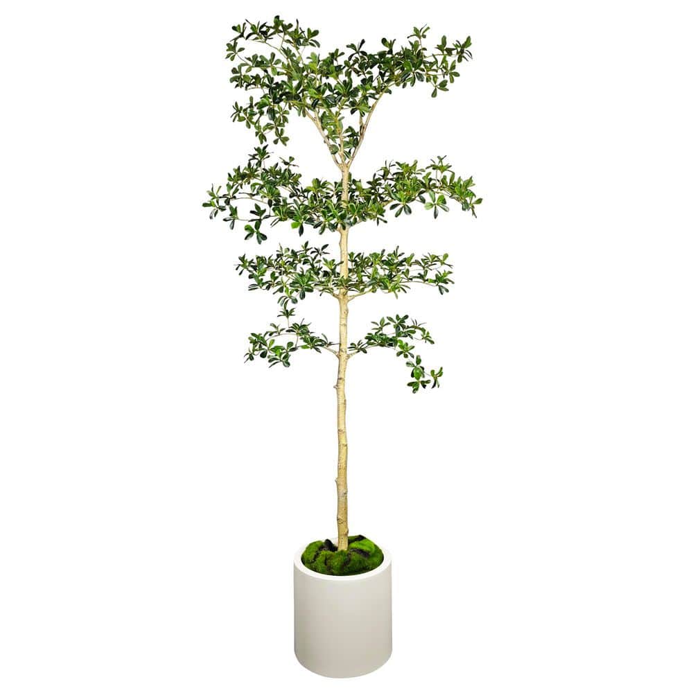 Edvivi 6.5 ft. Artificial Olive Shady Lady Tree in White Decor Pot ...