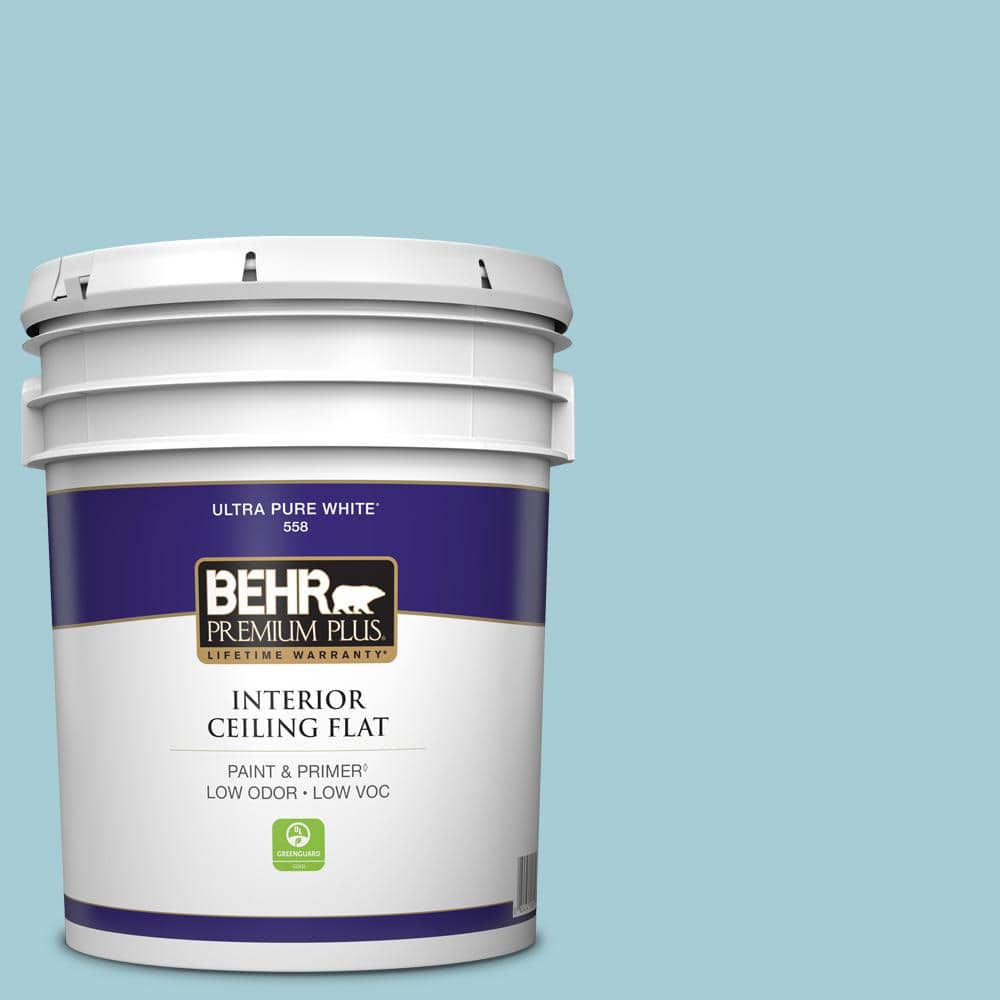 BEHR PREMIUM PLUS 5 gal. #S460-2 Drip Ceiling Flat Interior Paint 55805 ...