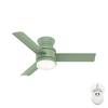 Hunter Dublin 44 in. LED Indoor Dusty Green Ceiling Fan with Light Kit ...