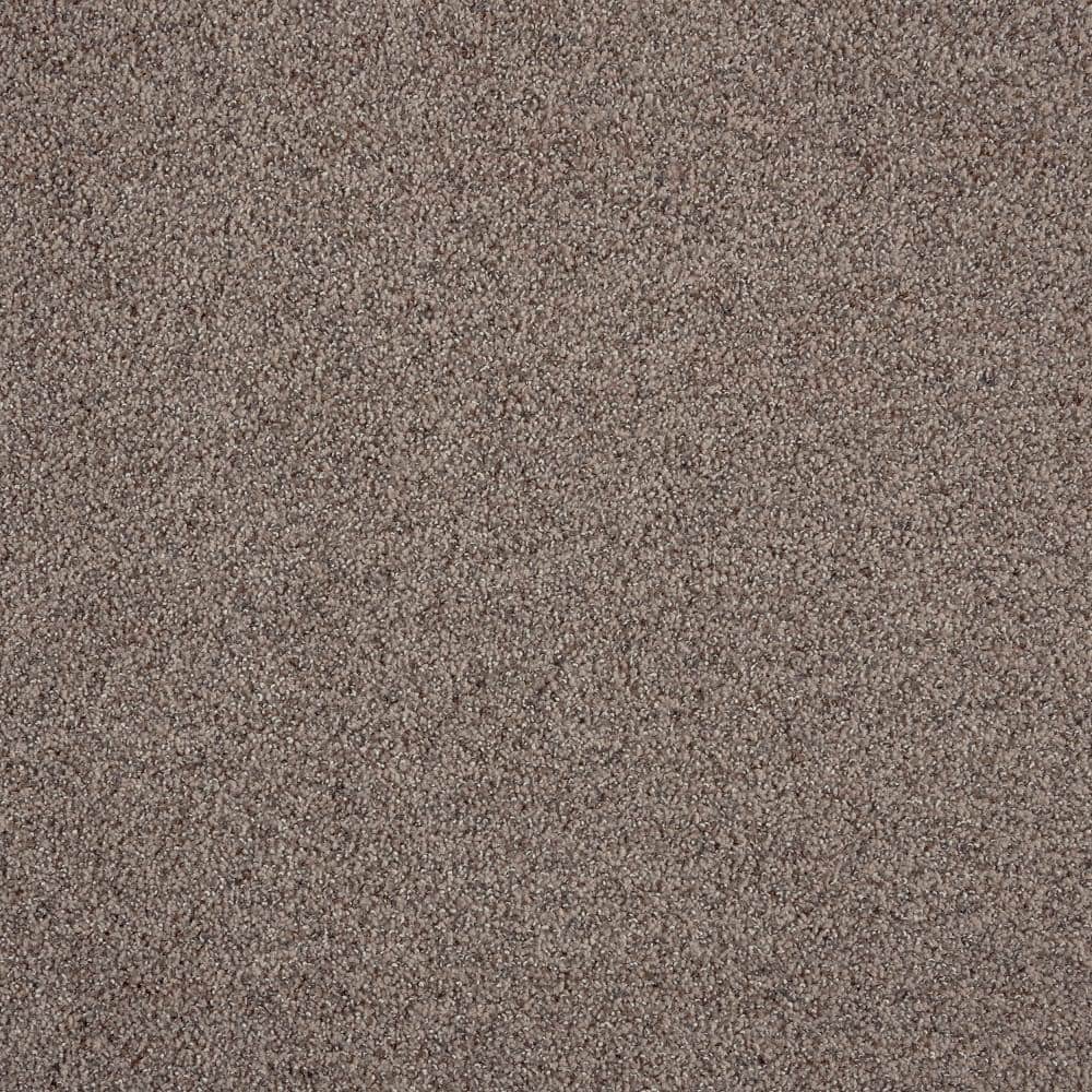 Mohawk 8 in. x 8 in. Texture Carpet Sample - Playful Moments I (M ...