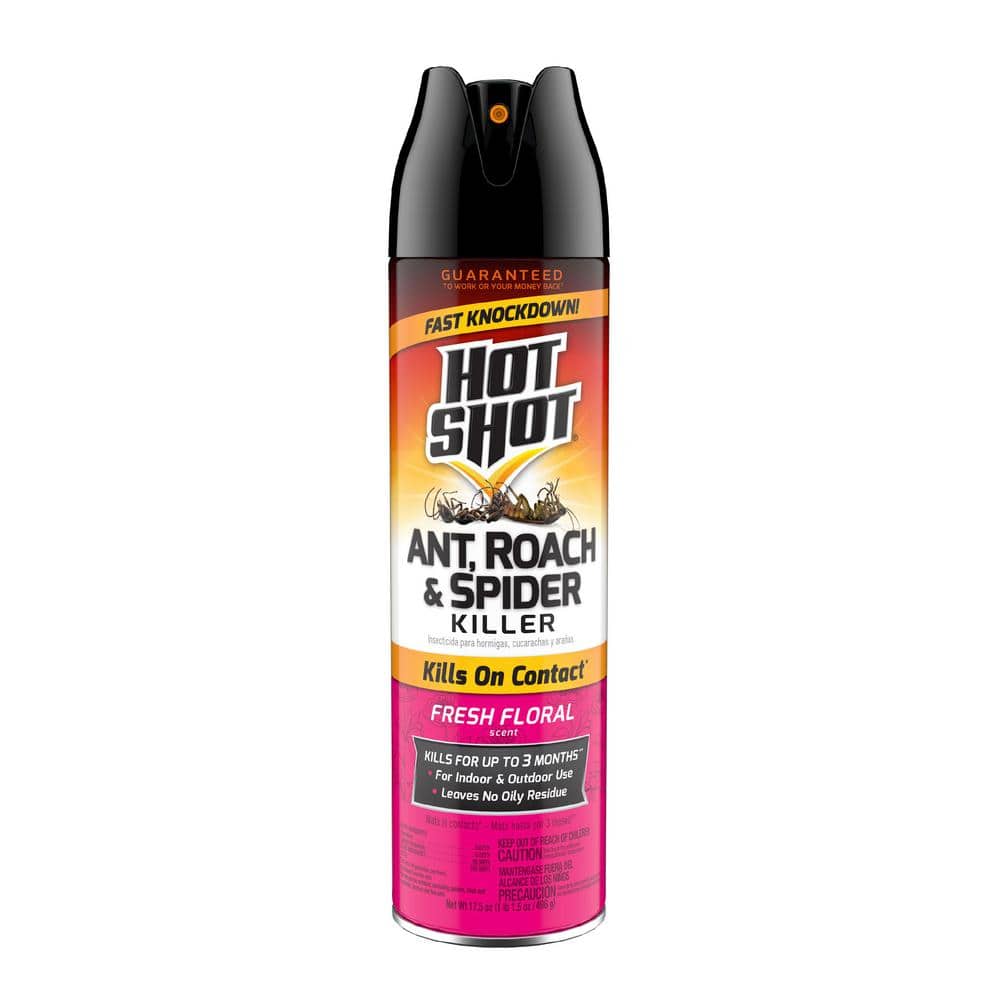 Hot Shot 17.5 oz Ant, Roach and Spider Insect Killer Aerosol Spray ...
