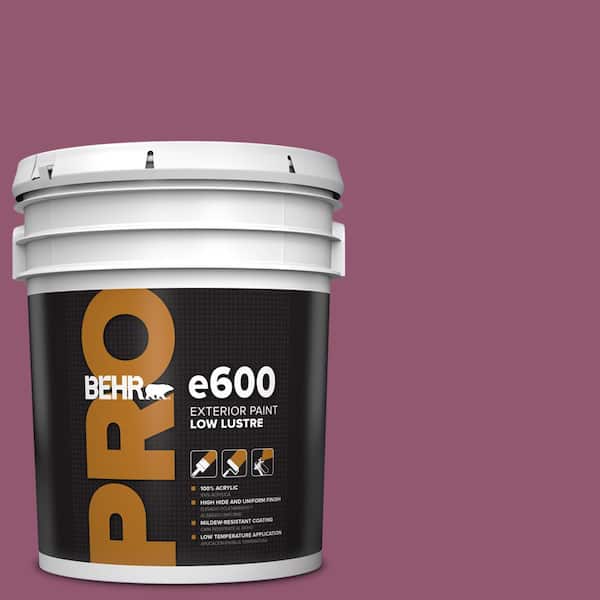 BEHR PRO 5 gal. #HDC-AC-28A Carnation Festival Low Luster Exterior ...