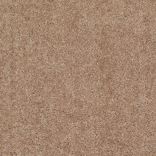 TrafficMaster 8 in. x 8 in. Texture Carpet Sample - Alpine - Color ...