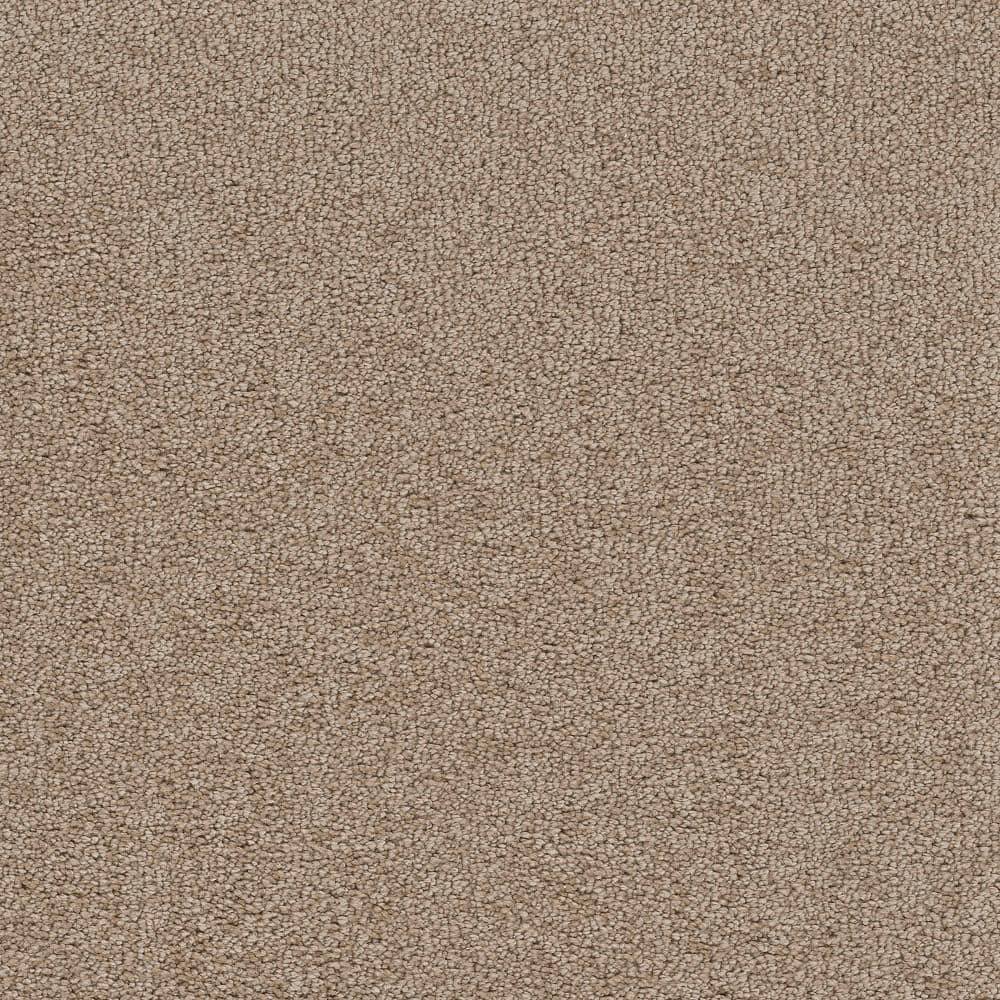 Reviews for Home Decorators Collection Perfected II - Accomplished ...