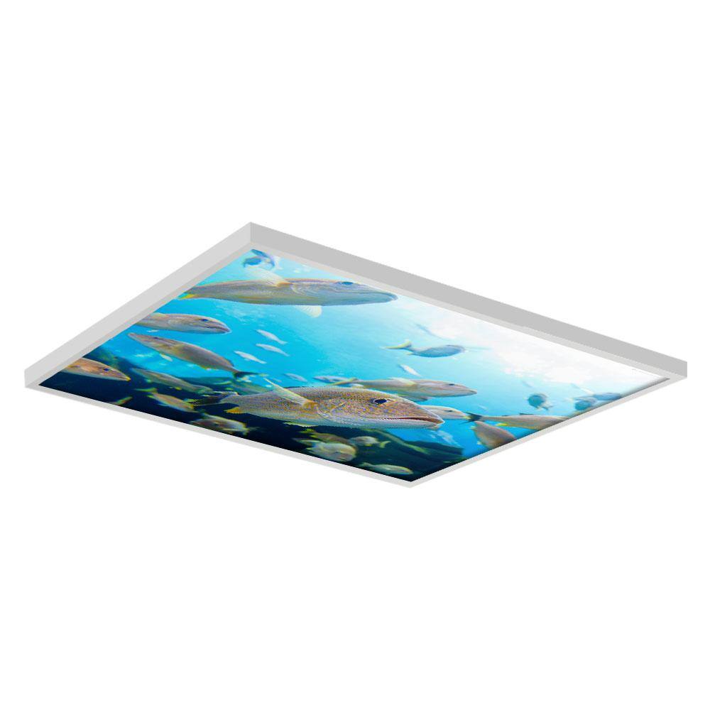 OCTO LIGHTS Ocean 004 2 ft. x 2 ft. Flexible Decorative Light Diffuser ...