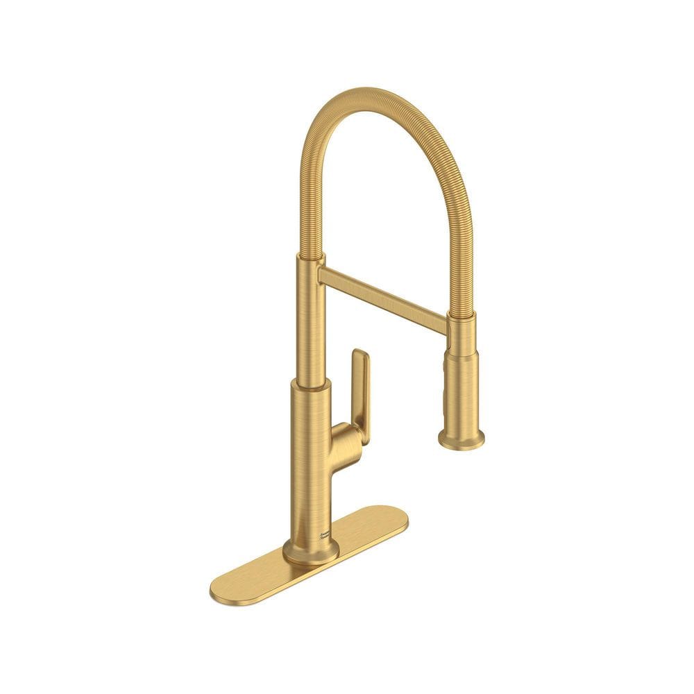 American Standard Sonner 20 in. Single Handle Pull Down Sprayer Kitchen ...