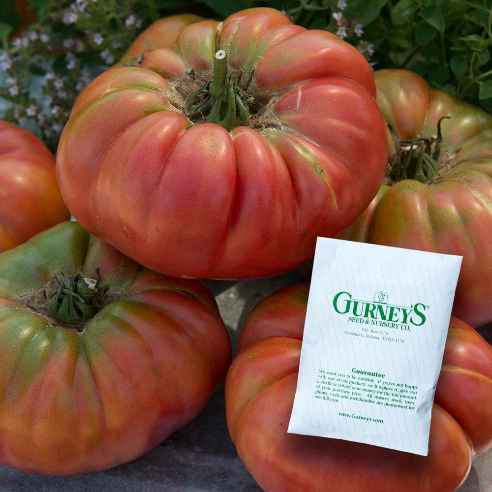 Gurney's Tomato Gardeners Choice Hybrid (20 Seed Packet) 39855