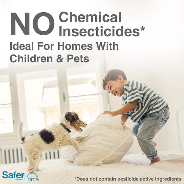 Safer Brand Pantry Pest Traps-Moth Traps (2-Count) SH201 - The Home Depot