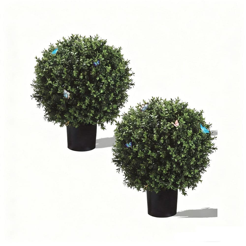 24 in. Indoor Artificial Boxwood Ball Topiary in Weighted Pot 2-Pack ...