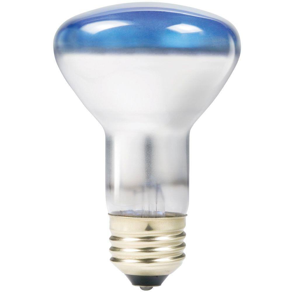 Philips 50-Watt Incandescent R20 Plant Flood Light Bulb 167098 - The ...