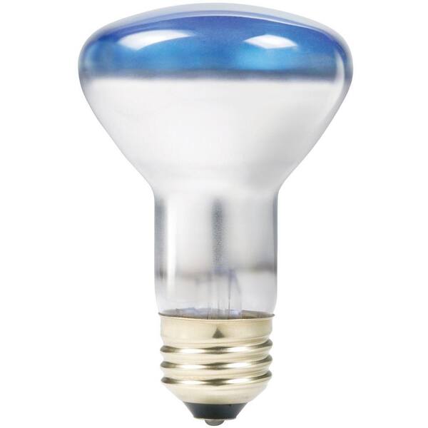 Philips 50-Watt Incandescent R20 Plant Flood Light Bulb 167098 - The ...