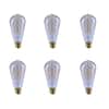 Feit Electric 40-Watt ST19 Dimmable Cage Filament Amber Glass E26 Vintage Edison Incandescent ...