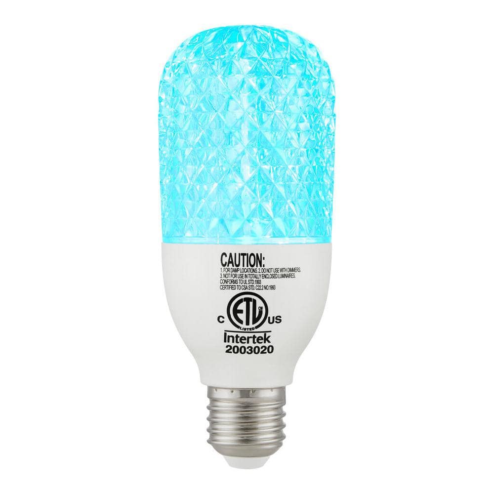 LightShow Multi Colormotion Projection Bulb 22GM80075 - The Home Depot