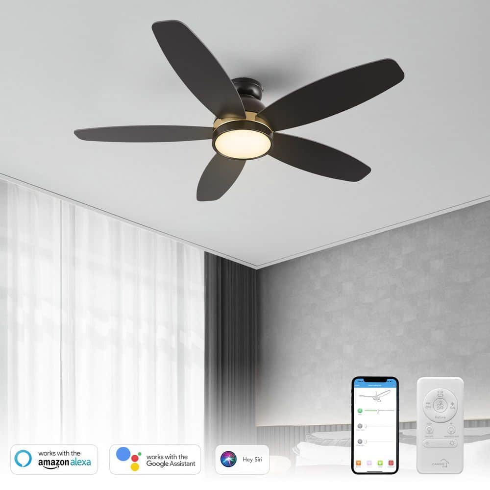 CARRO Levi 48 in. Dimmable LED Indoor/Outdoor Black Smart Ceiling Fan ...