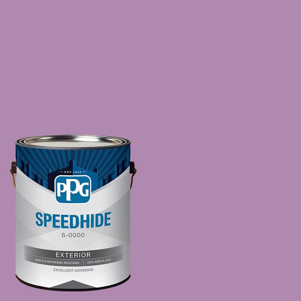 Reviews for SPEEDHIDE 1 gal. PPG17-08 Heather Glen Flat Exterior Paint ...