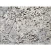 Reviews for STONEMARK 3 in. x 3 in. Granite Countertop Sample in Rigel ...