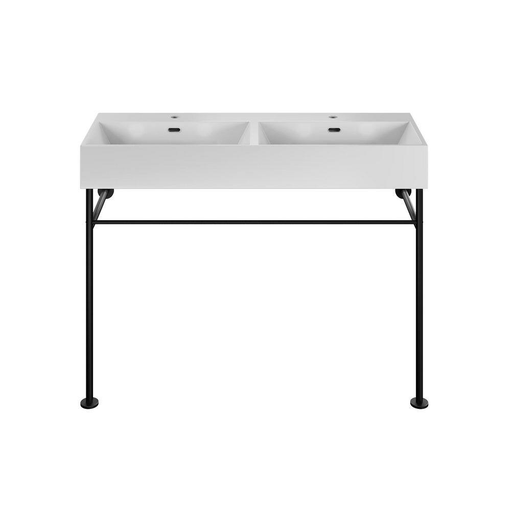 Reviews for Swiss Madison Claire 48 in. Double Basin White Ceramic ...