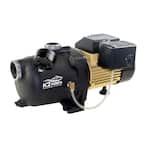Flotec 3/4 HP Thermoplastic Shallow-Well Jet Pump FP4022