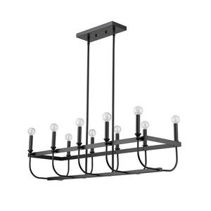 Acclaim Lighting Cobar 5-Light Matte Black Island Pendant IN21002BK ...