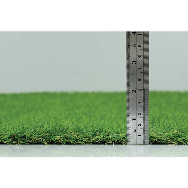 12 Green Grass Field Viridescent The Asian Turfgrass Center Blog: 3