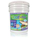 Dyco Paints Pool Deck 5 gal. 9064 Bombay Low Sheen Waterborne Acrylic ...