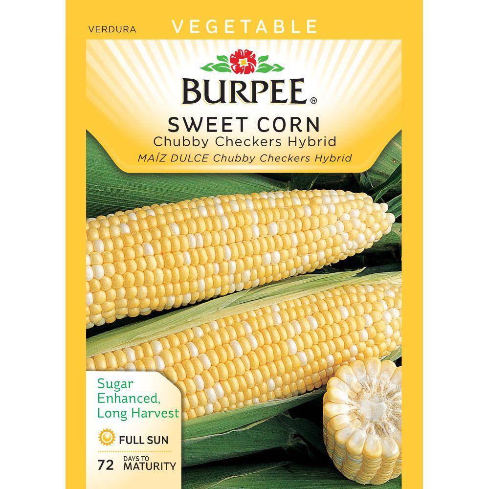 Burpee Corn, Chubby Checkers Hyb 54911 - The Home Depot