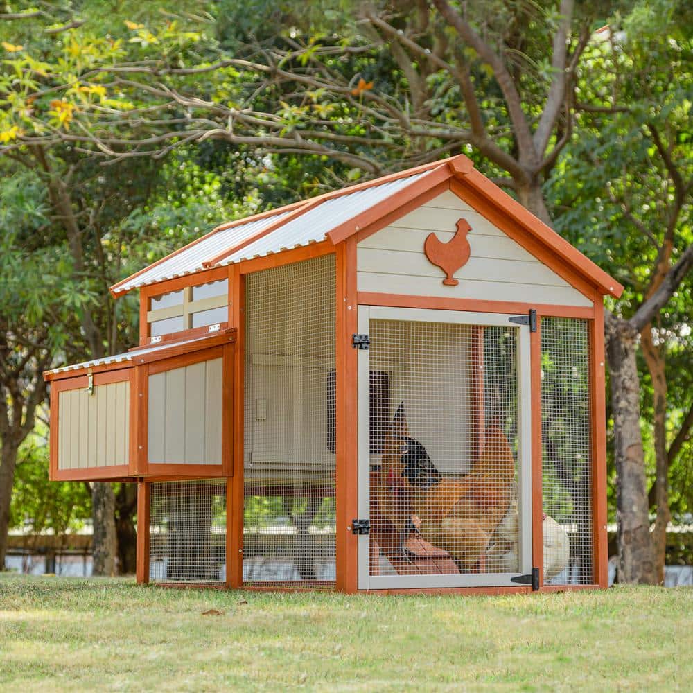 48.6 in. H Chicken Coop with Waterproof PVC Roof Removable Bottom for ...
