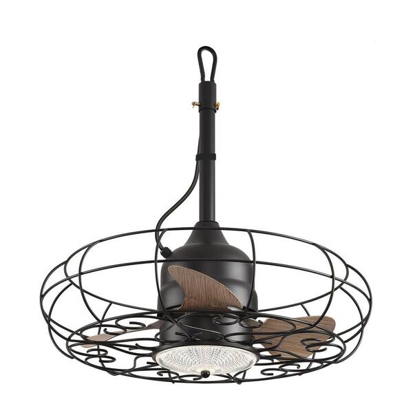 ARISKEEN 20 in. Indoor Ceiling Fans with Light, Wet Rated Outdoor ...