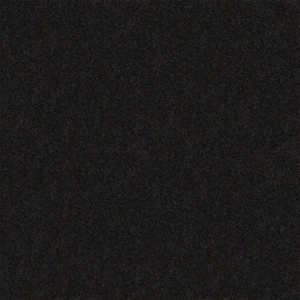 Reviews for TrafficMaster Alpine - Mystery - Gray 15 ft. 17.3 oz ...