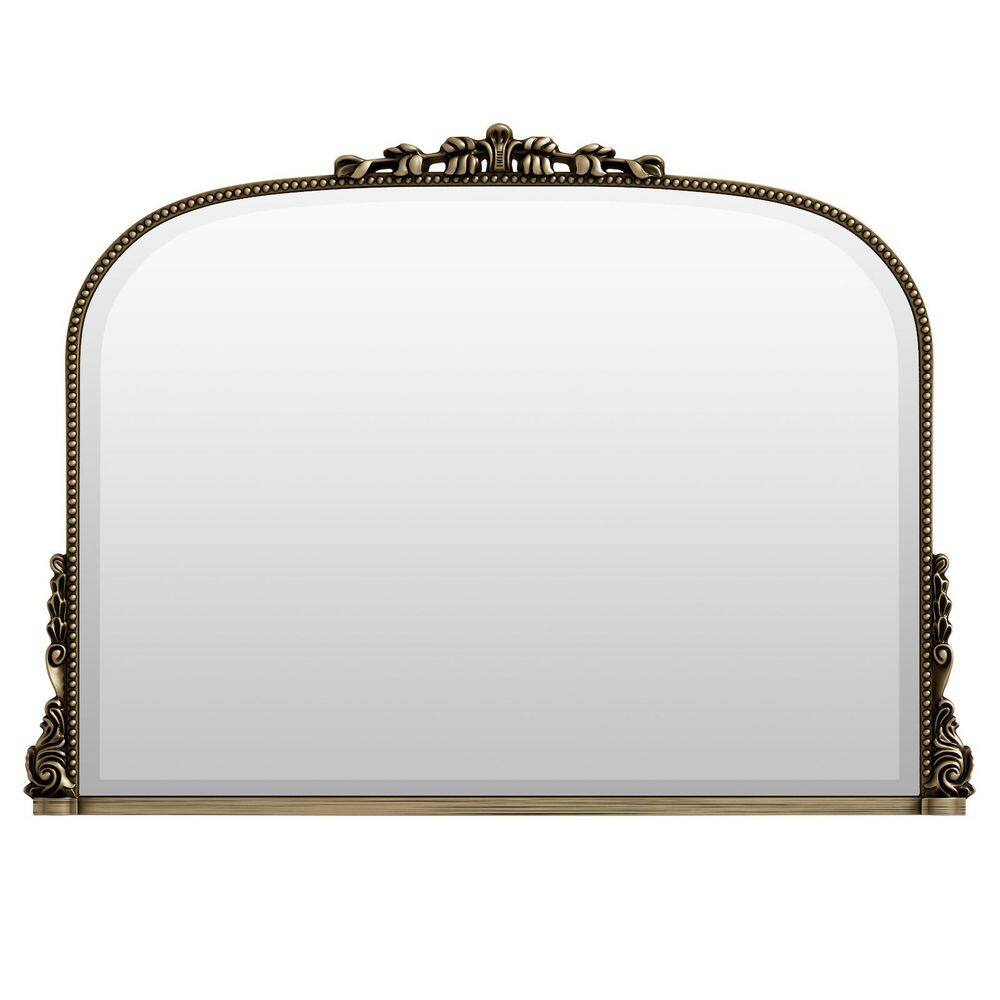 XRAMFY Vintage Bronze 31.5 in. W x 43.5 in. H Classic Arched PU Framed ...