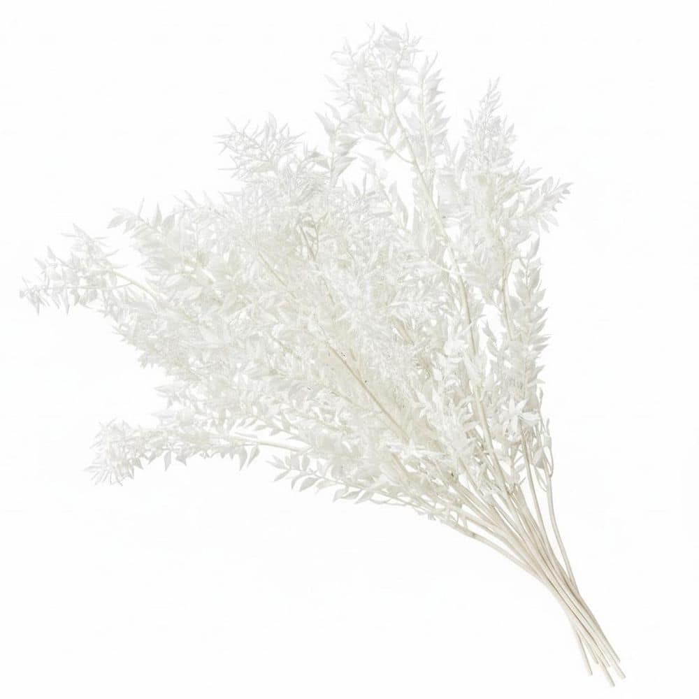 10 in. White Artificial Foliage Italian Ruscus Plant Type Preserved ...