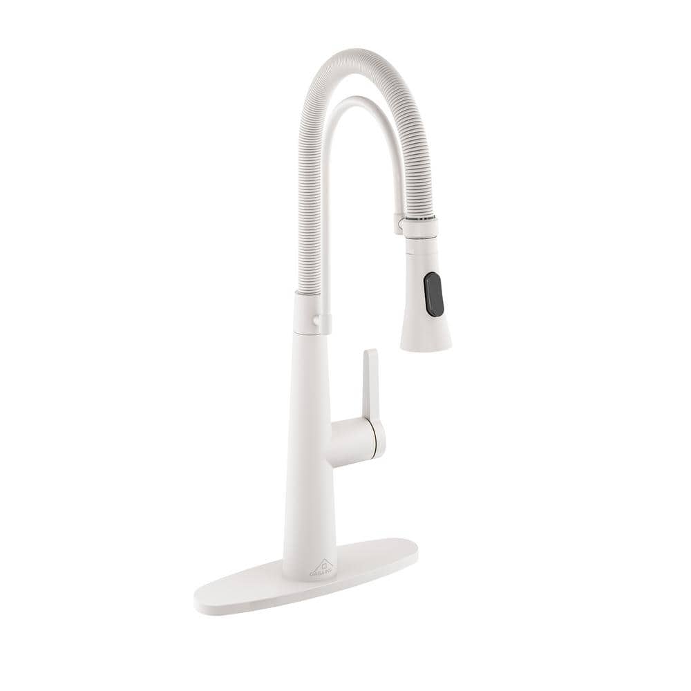 CASAINC Single Handle Spring Neck Standard Kitchen Faucet with Dual ...