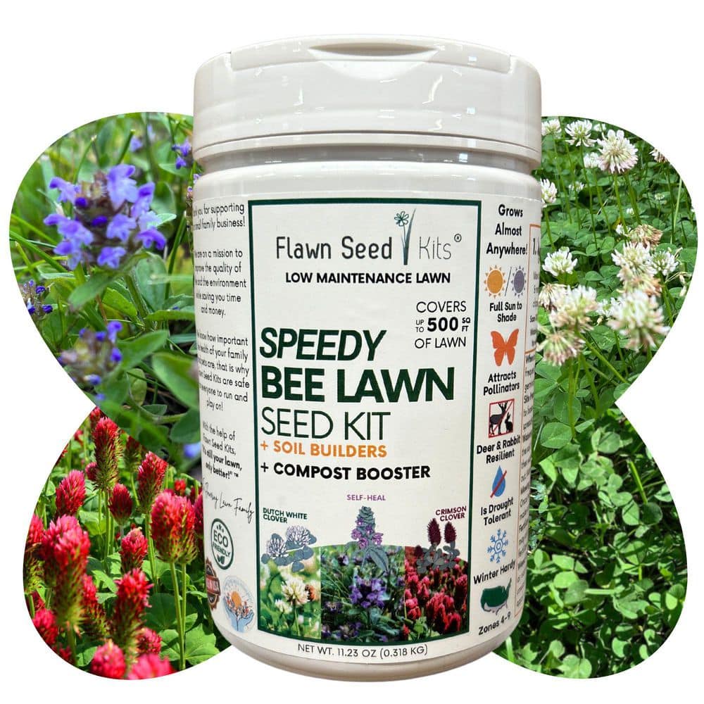 Flawn Seed Kits Speedy Bee Flower Lawn Seed, Easy Spread Shaker, Low ...