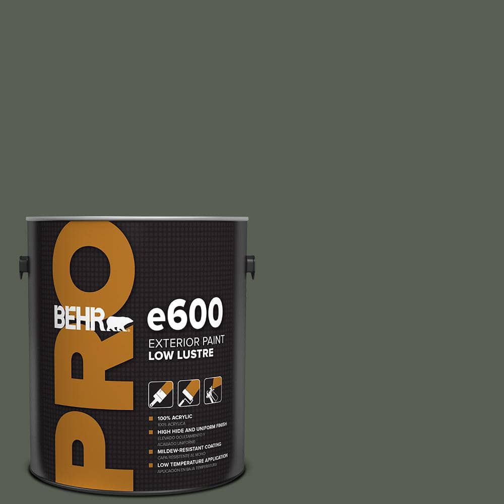 BEHR PRO 1 gal. #PPU10-20 Pastoral Low Luster Exterior Paint PR62301 ...