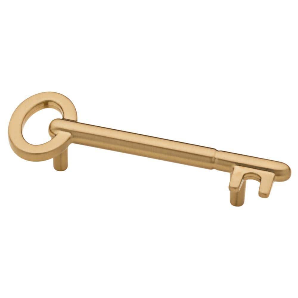 Young House Love 3 in. (76mm) Champagne Bronze Vintage Key Cabinet ...