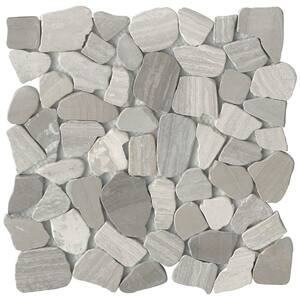 EMSER TILE Cultura Spring 12 in. x 12 in. Pebble Honed Mosaic Floor and ...