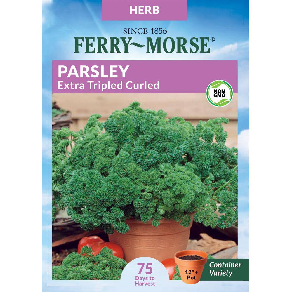 Ferry-Morse Parsley Extra Tripled Curled Herb Seed 7481 - The Home Depot