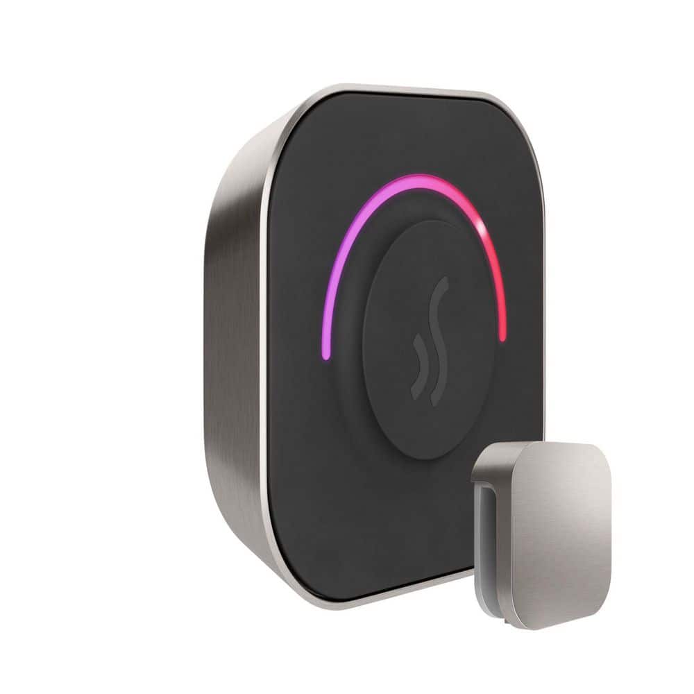 Mr. Steam TempoTouch Steam Shower Control and Steamhead in Brushed ...