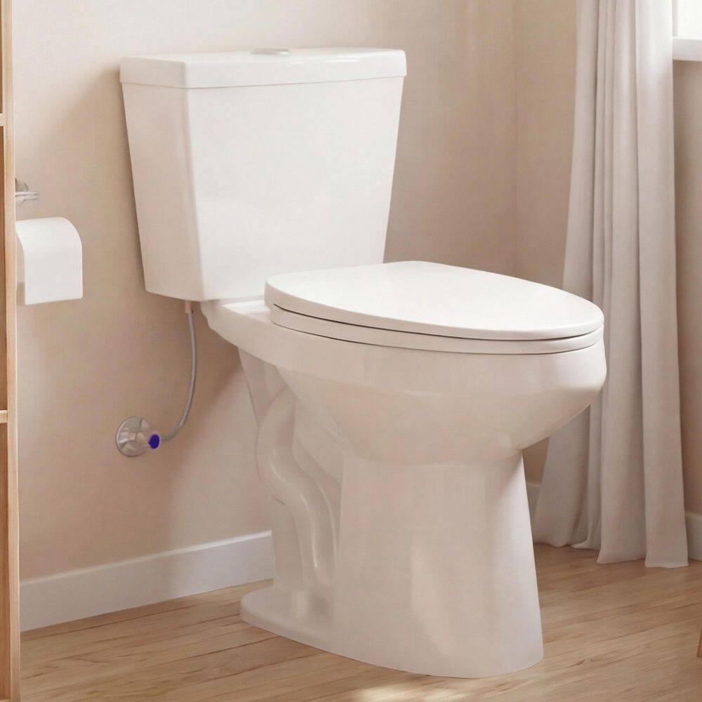 Home Depot Dual Flush Toilet