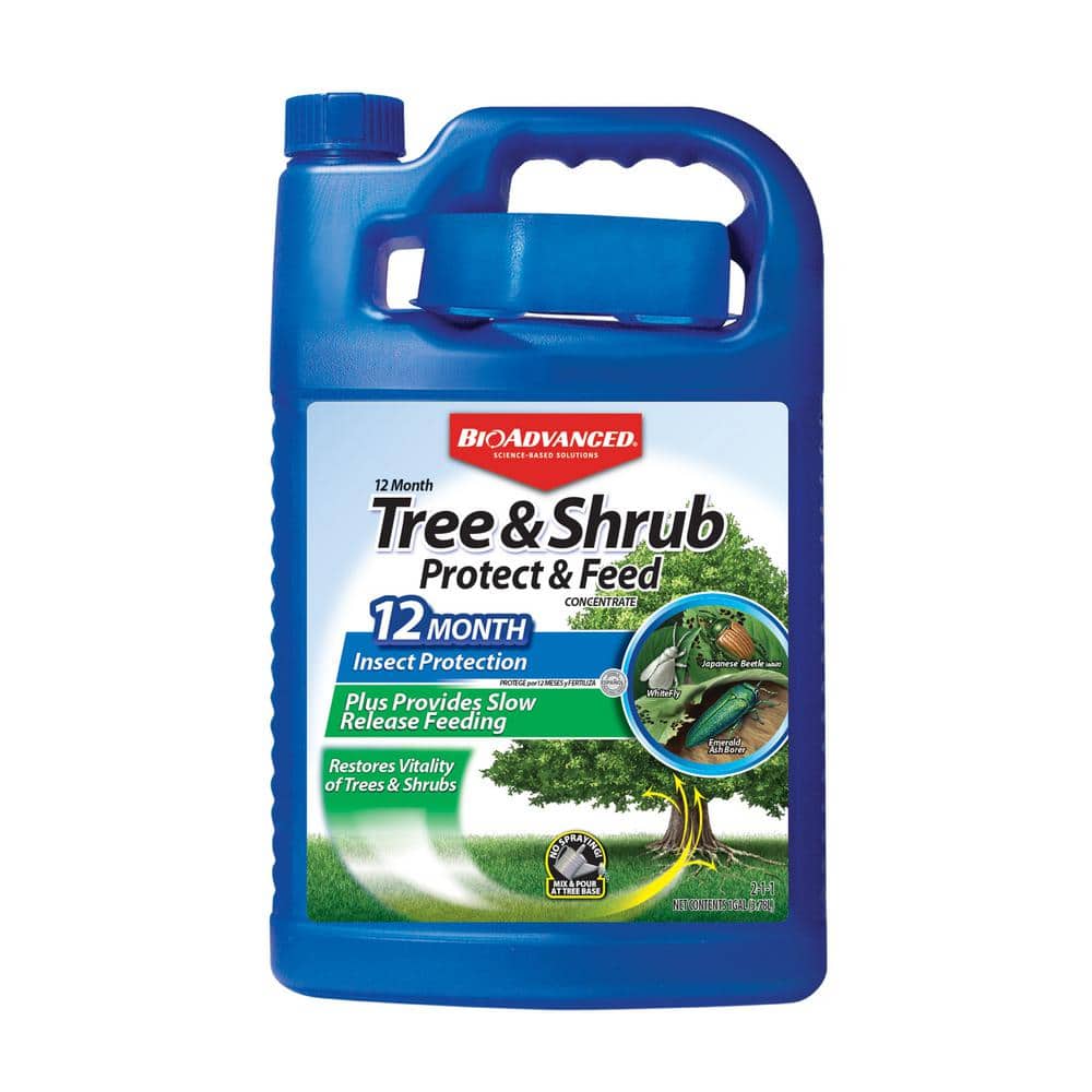 BIOADVANCED 1 Gal. Concentrate Tree and Shrub Protect with Feed Insect ...