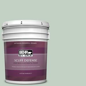 BEHR ULTRA 5 gal. #PPU11-13 Frosted Jade Flat Exterior Paint & Primer ...